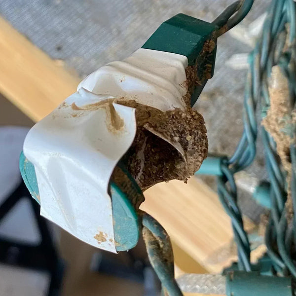 Using Tape to Cover Outdoor Extension Cords - PlugShields