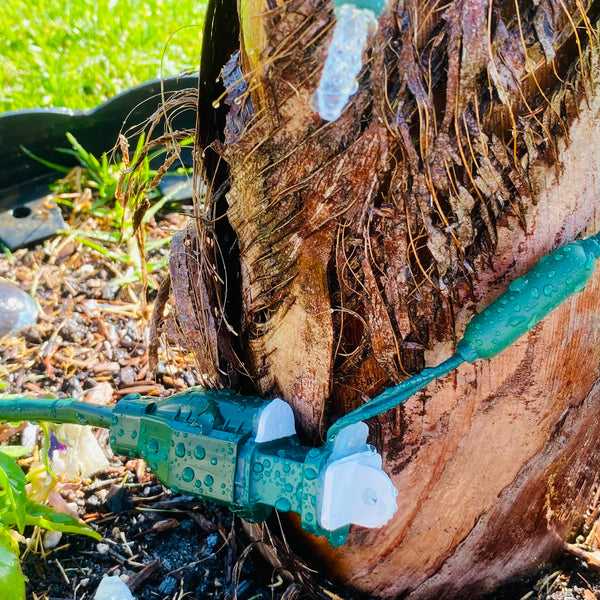 Weatherproof Extension Cord Gaskets and Plug Covers (Combo Packs ...